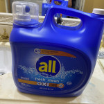 all Fresh Clean Oxi plus Odor Lifter Liquid Laundry Detergent, 250 fl ...
