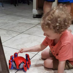 Spidey and His Amazing Friends Trace-E Bot | BJ's Wholesale Club