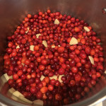 Ocean Spray Fresh Cranberries, 2 lbs. | BJ's Wholesale Club