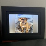 Simply FSM010BL Smart Home PhotoShare 10.1" Smart Frame | BJ's ...