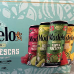 Modelo Spiked Aguas Frescas Variety Pack Flavored Malt Beverage, 12 pk ...