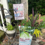 EcoSmart Plant-Based Lawn Insect Killer Granules, 10 lbs. / 2 pk. | BJ ...