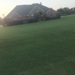 Scotts GrubEx Season Long Grub Killer, 10M | BJ's Wholesale Club