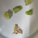 Wellsley Farms Broccoli Normandy, 6 lbs. | BJ's Wholesale Club