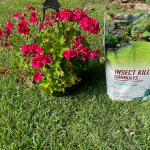 EcoSmart Plant-Based Lawn Insect Killer Granules, 10 lbs. / 2 pk. | BJ ...