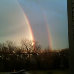 Cello Carrots, 5 lbs | BJ's Wholesale Club