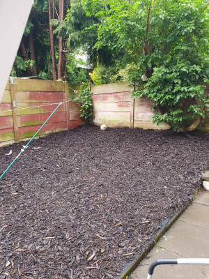 Decorative Bark Chippings Lidl | Shelly Lighting