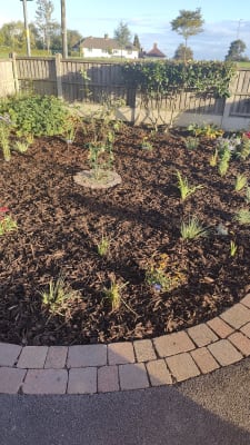 Decorative Bark Chippings Lidl | Shelly Lighting