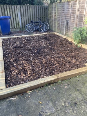 Decorative Bark Chippings Lidl | Shelly Lighting