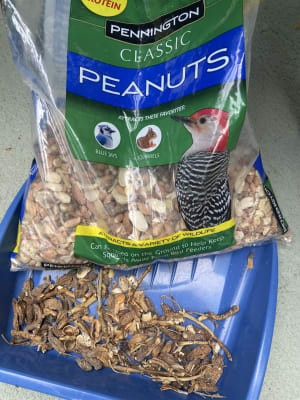 peanuts for birds