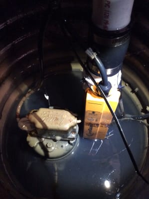 Z24800A1Z - LevelGuard Z24800A1Z - Electronic Sump Pump Switch w/ 9 ft Cord