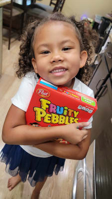 fruity pebbles logo vector