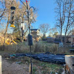 Wild Birds Unlimited