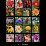 Gallery of Twenty Premium Poster by Shutterfly | Shutterfly