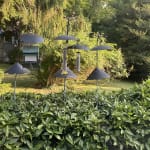 Wild Birds Unlimited