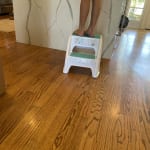 Dreambaby Toddler & Me Step Stool, 2 pk. | BJ's Wholesale Club