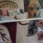 Photo Gallery Removable Stickers by Shutterfly | Shutterfly