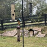 Wild Birds Unlimited