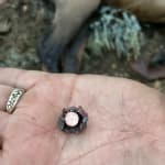 Remington Core-Lokt Bullets 8mm (323 Diameter) 185 Grain Pointed Soft