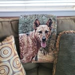 Upload Your Own Design Woven Photo Blanket | Home Décor| | Shutterfly