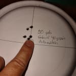 Federal AutoMatch Target Ammo 22 Long Rifle 40 Grain Lead Round Nose