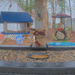 Wild Birds Unlimited