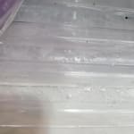 User submitted media 1 of 2