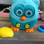 owl learning resources