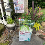 EcoSmart Plant-Based Lawn Insect Killer Granules, 10 lbs. / 2 pk. | BJ ...