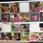 Photo Gallery Removable Stickers by Shutterfly | Shutterfly