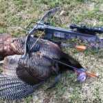 Excalibur Vortex Crossbow Package Shadow Zone Illuminated Scope