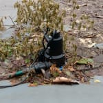 57729-WYNP - Wayne 57729-WYNP - WAPC250 1/4 HP Automatic iSwitch ...