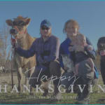 Humble Thanks 5x7 Stationery Card by Yours Truly | Shutterfly