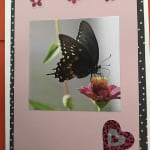 Photo Gallery Removable Stickers by Shutterfly | Shutterfly