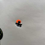 Hodgdon H4831SC Smokeless Gun Powder 1 lb