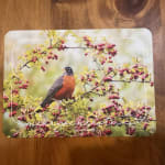 Script Border 5x7 Stationery Card by Yours Truly | Shutterfly