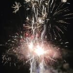 Wolf Howling to Brocade Crown: Superior Fireworks Wholesale