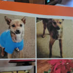 Photo Gallery Removable Stickers by Shutterfly | Shutterfly