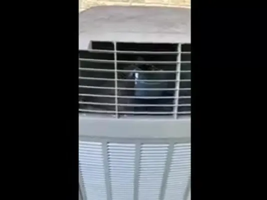 MOT19412 - Trane MOT19412 - 200/230V 1PH Motor (1/3HP, 850RPM), MOT19412